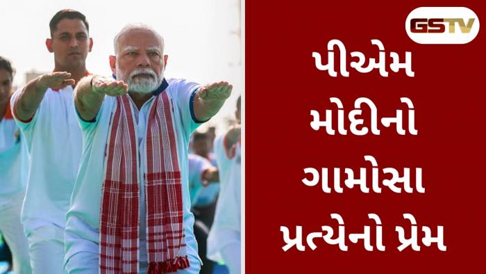 PM Modi wears this special outfit every year on Yoga Day | GSTV Gujarat ...